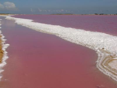 La Península de Paraguaná y sus mayores atractivos